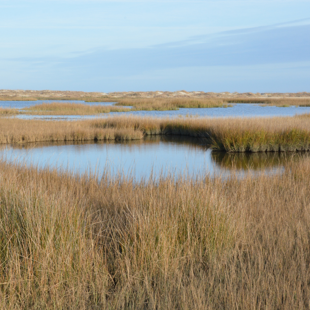 Charting a Path Through the Cloudy Waters of WOTUS